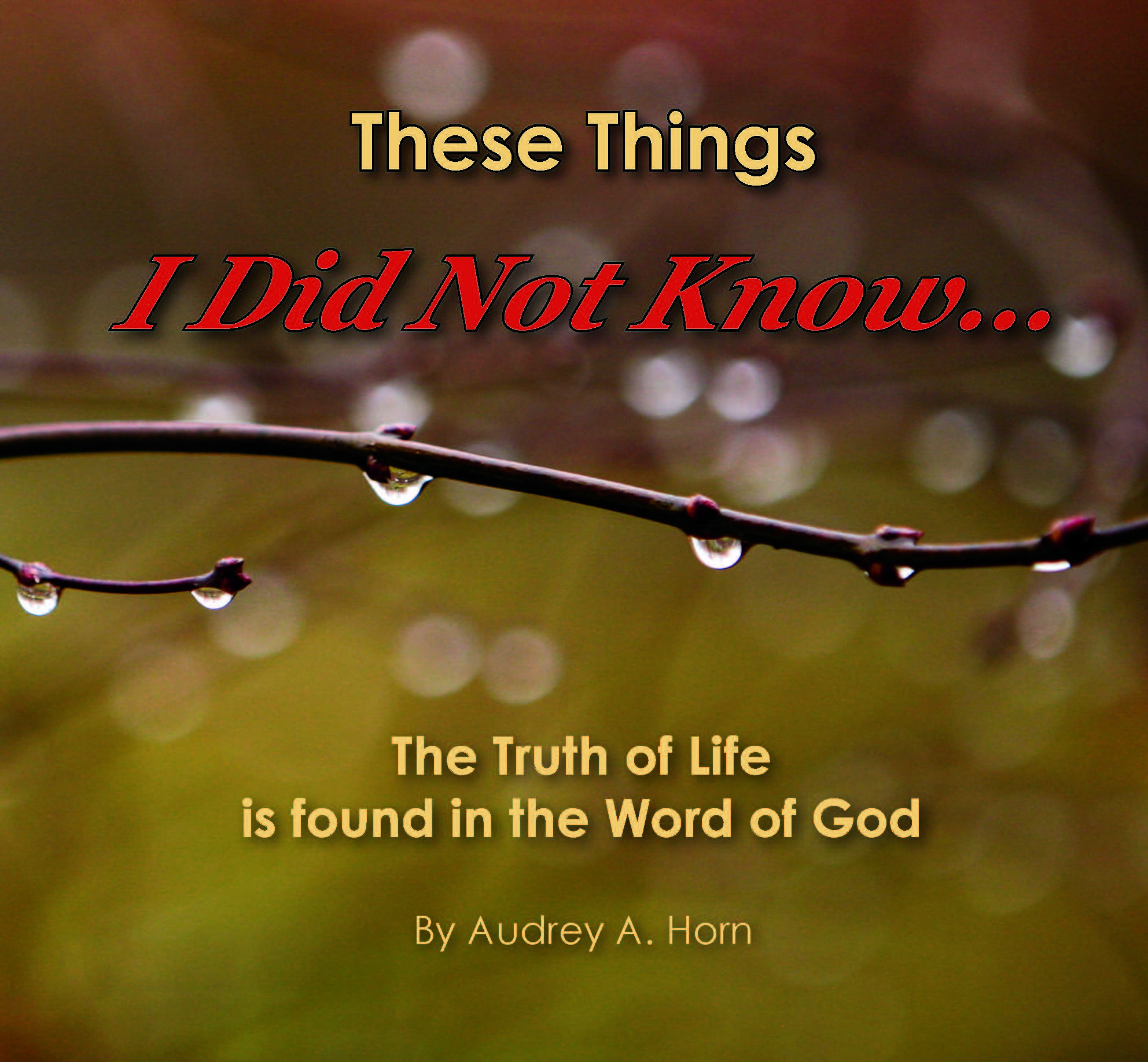 Our Book(s) – USA Through Our Eyes